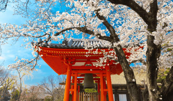 Japan Post Bank to Launch DCJPY Digital Currency in FY2026 - FinanceFeeds