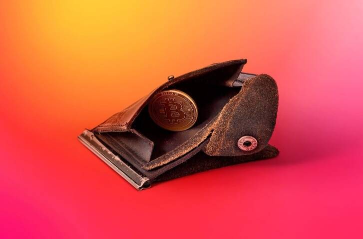 Incognito Crypto Wallet Review: Privacy or Risk?